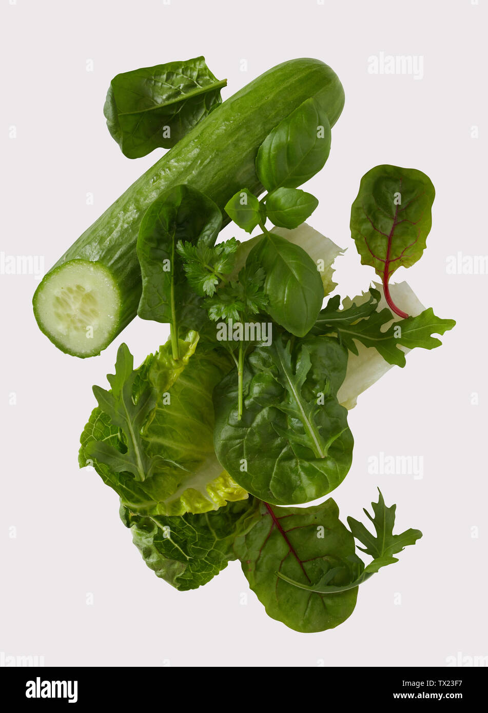 Assorted healthy fresh salad greens isolated on a white background with ...