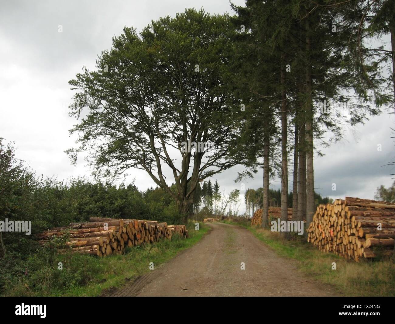 German sauerland hi-res stock photography and images - Alamy