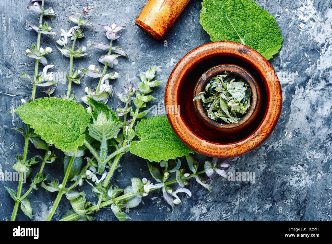 Sage medicinal herb spice leaves hi-res stock photography and images ...