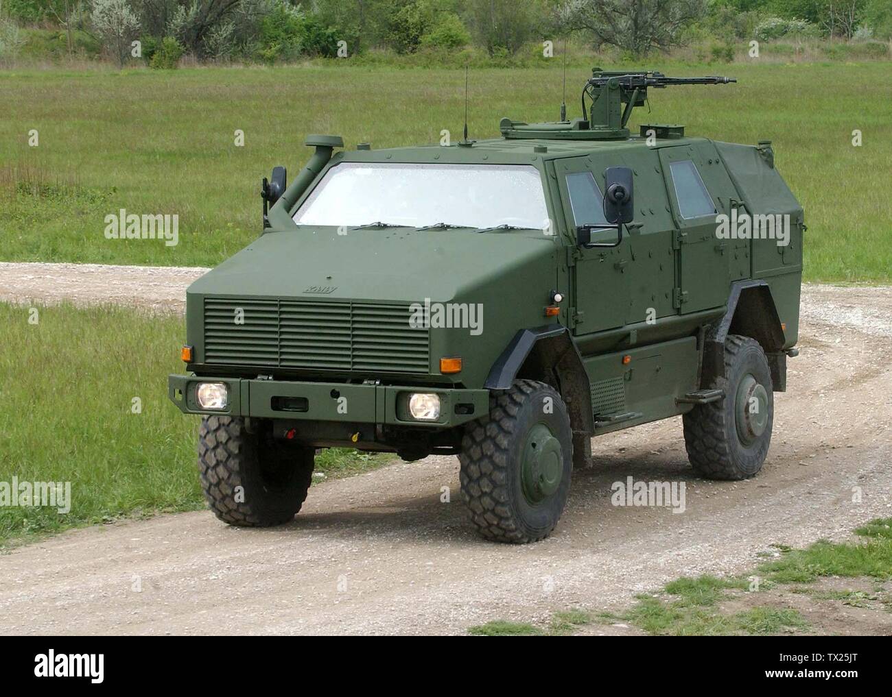 Dingo ii hi-res stock photography and images - Alamy