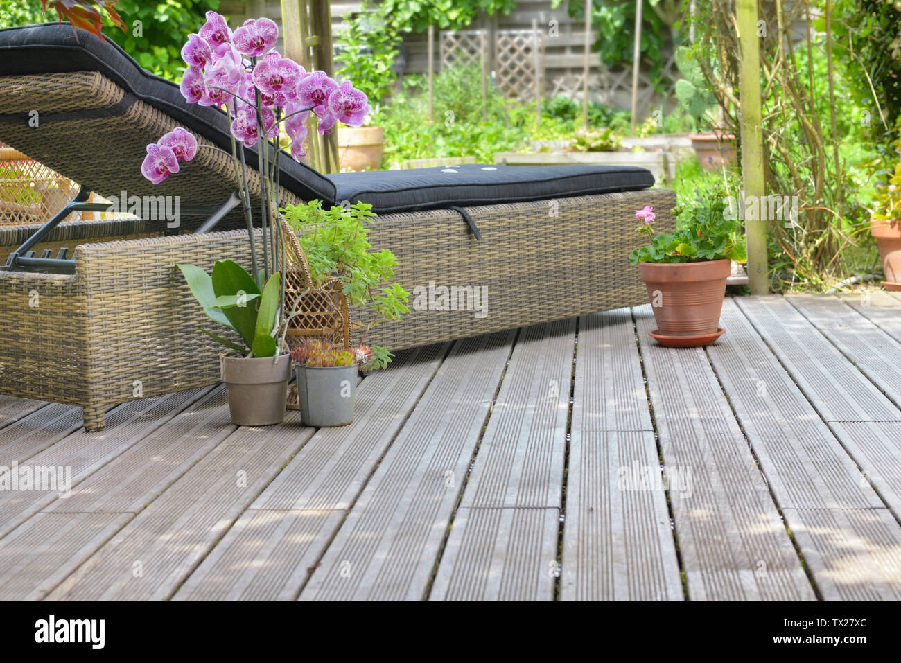 Sunbathing flower hi-res stock photography and images - Alamy