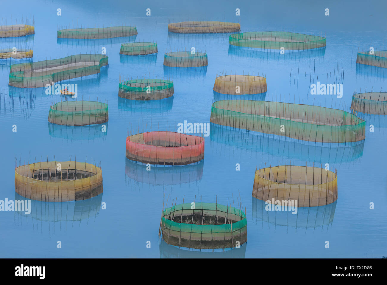 Floating net at sea. Photographed in Xiapu, Fujian Stock Photo - Alamy