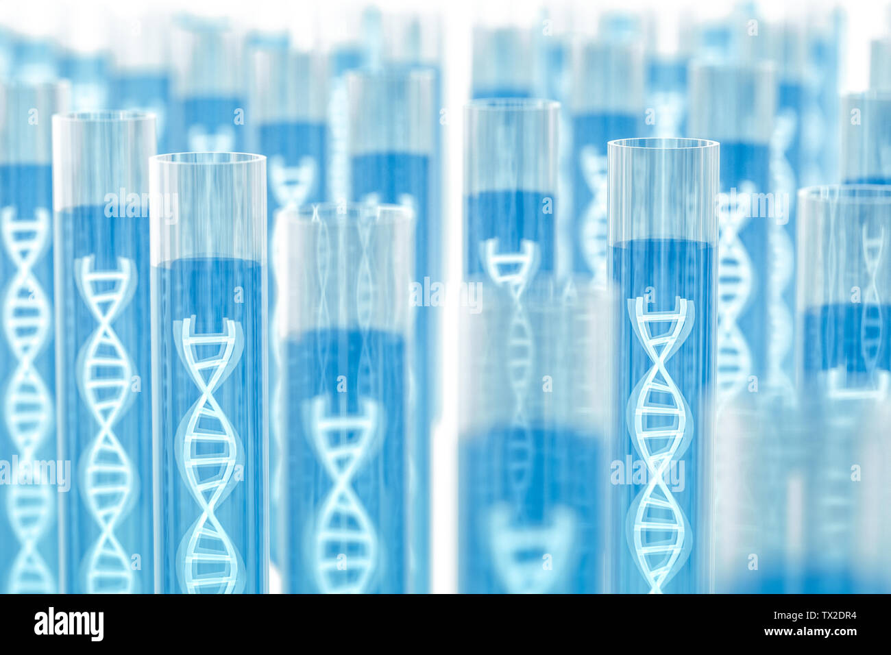 Arrangement of chromosomes hi-res stock photography and images - Alamy