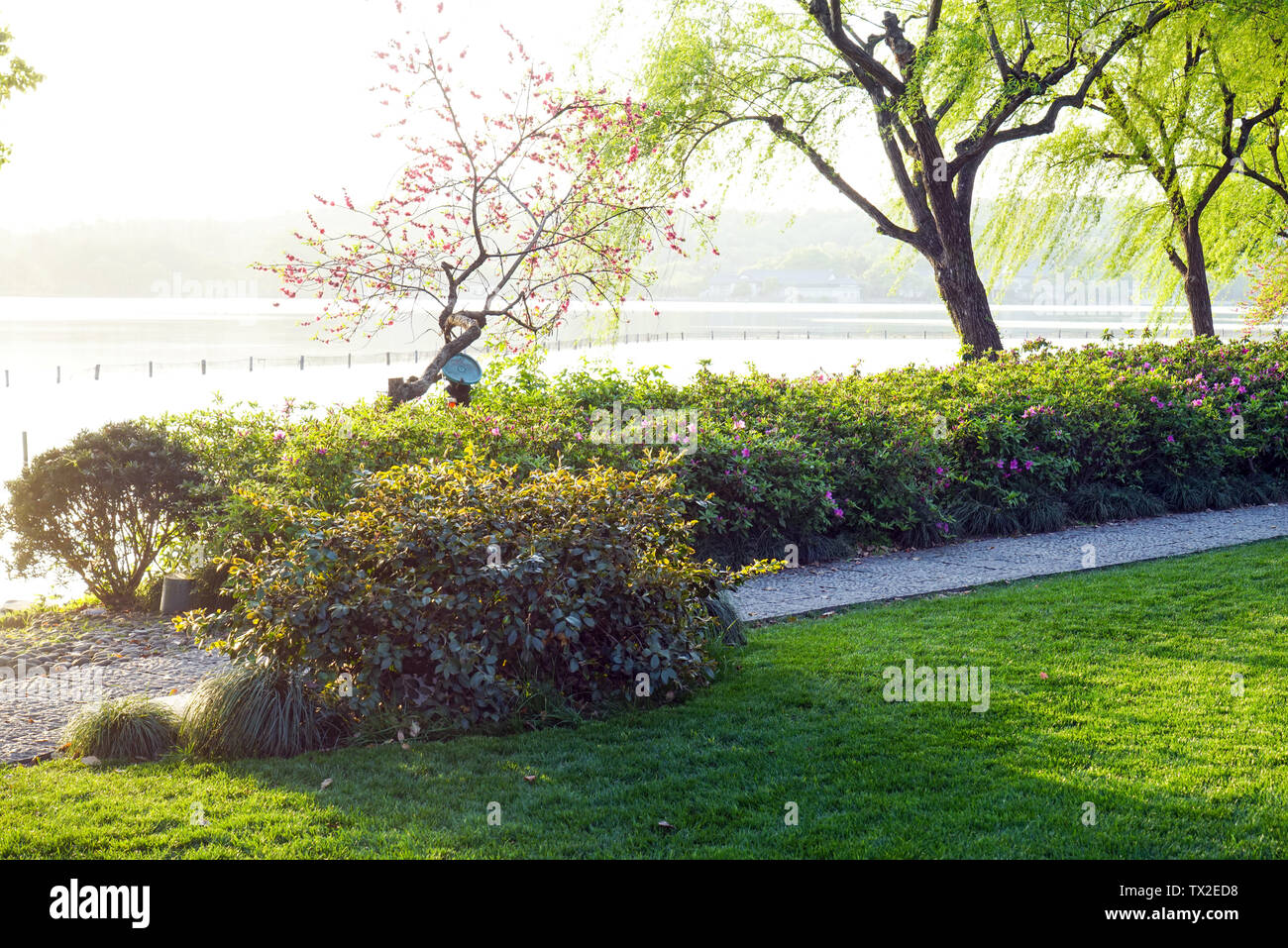 Spring color of West Lake Scenic Area Stock Photo - Alamy