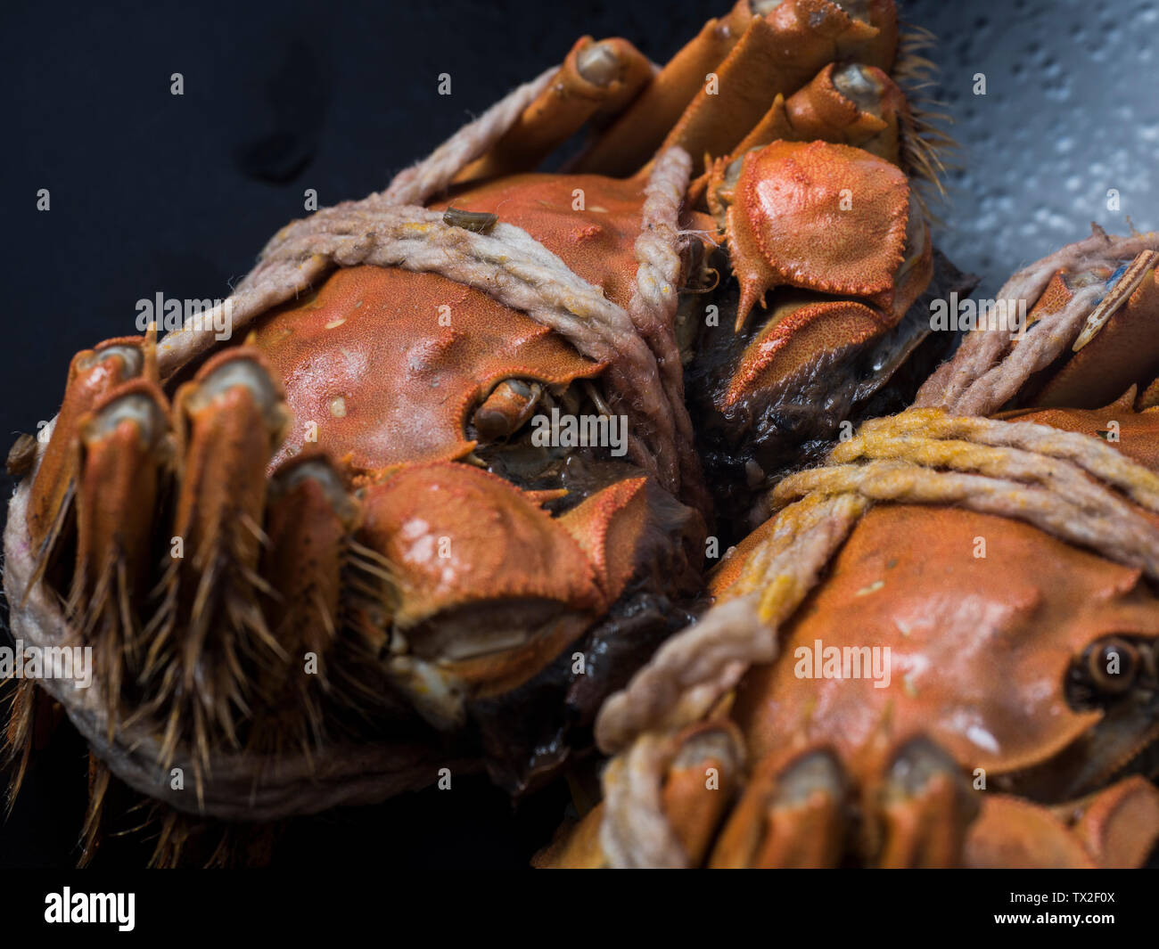 Lunch with hairy crabs hi-res stock photography and images - Alamy