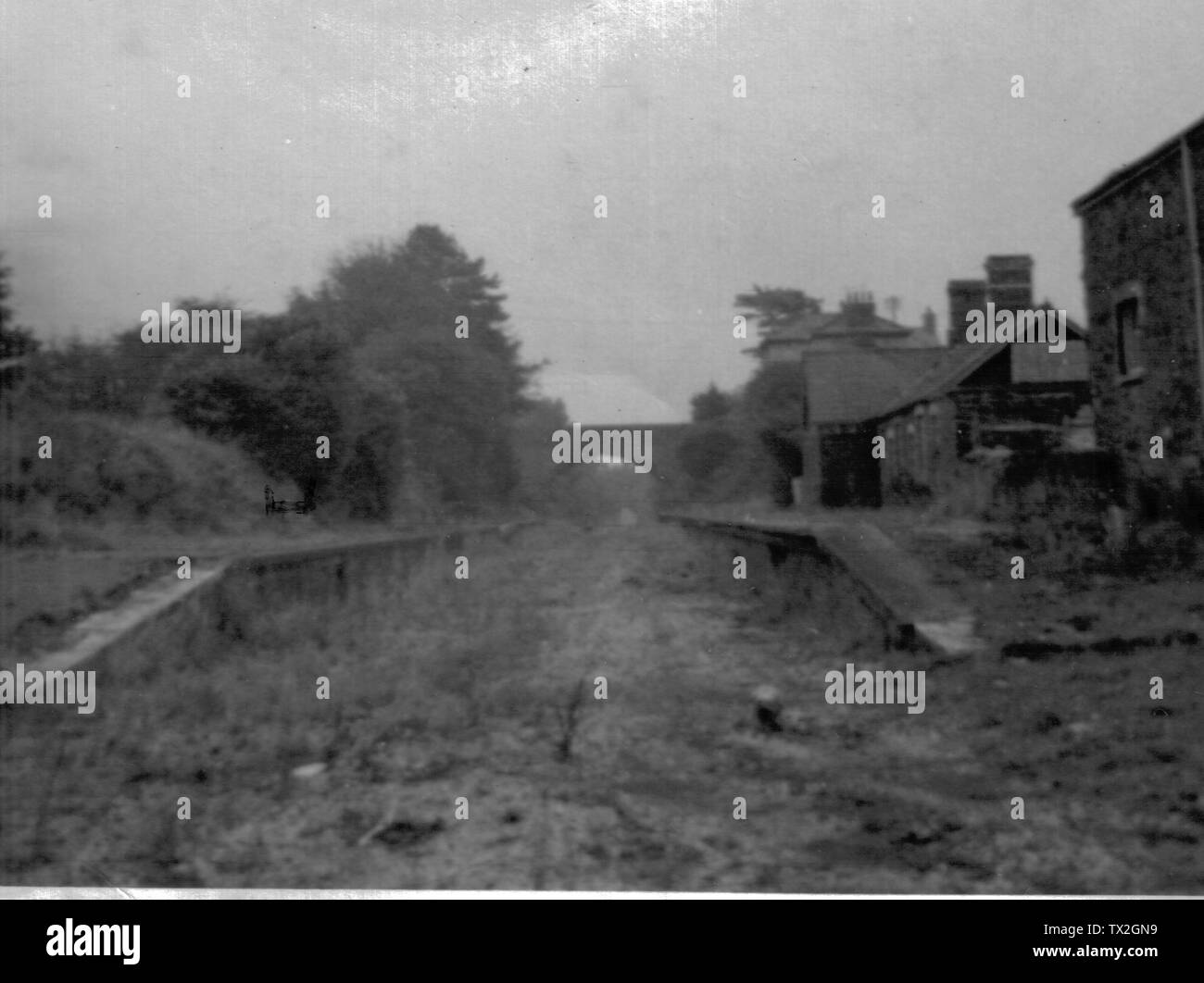 East anstey hi-res stock photography and images - Alamy