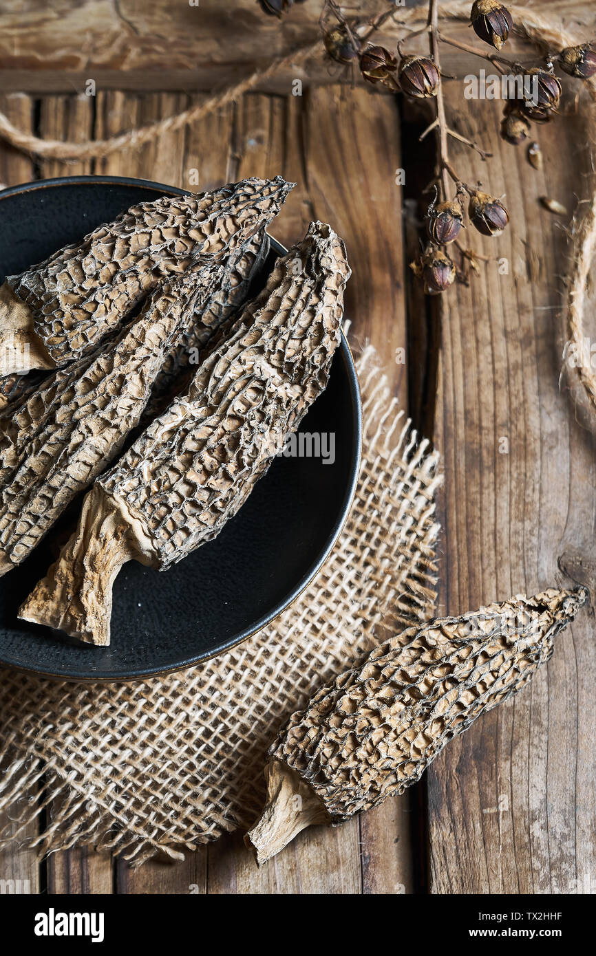 Mycelium Fungi Pattern High Resolution Stock Photography and Images - Alamy