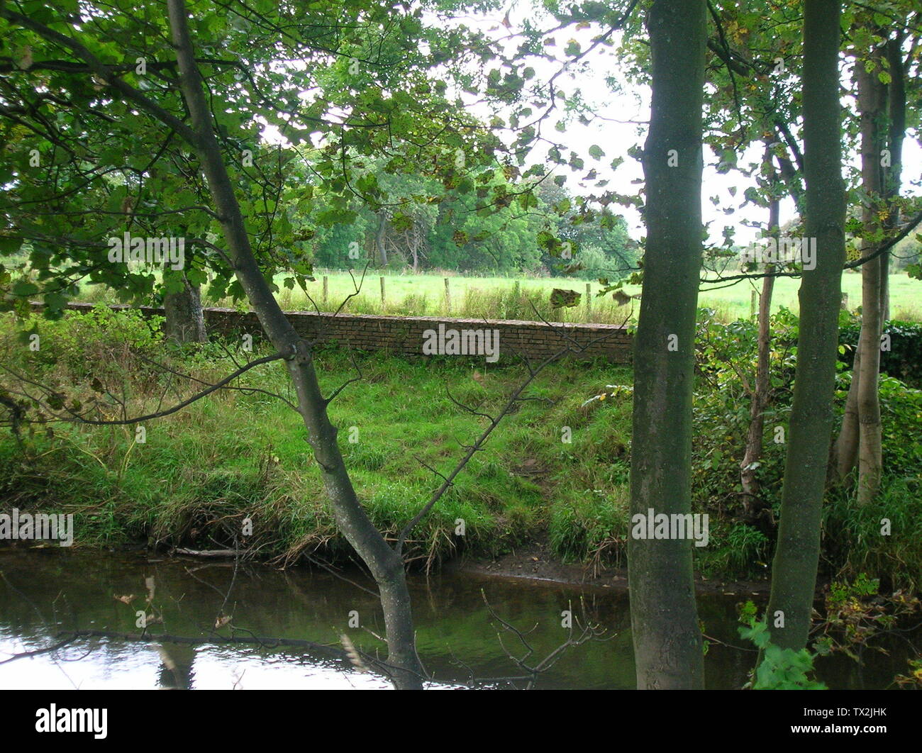 Original walling hi-res stock photography and images - Alamy