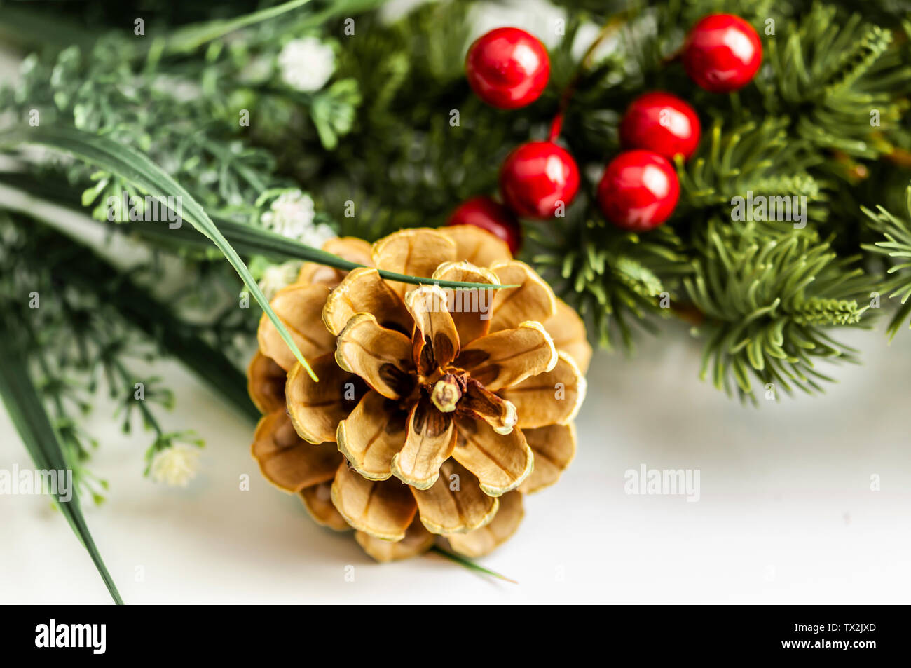 Pines, pine branches and red berries Stock Photo - Alamy