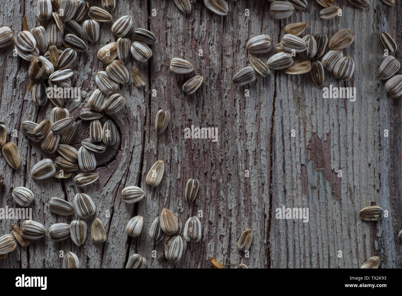 Sunflower seed material Stock Photo - Alamy