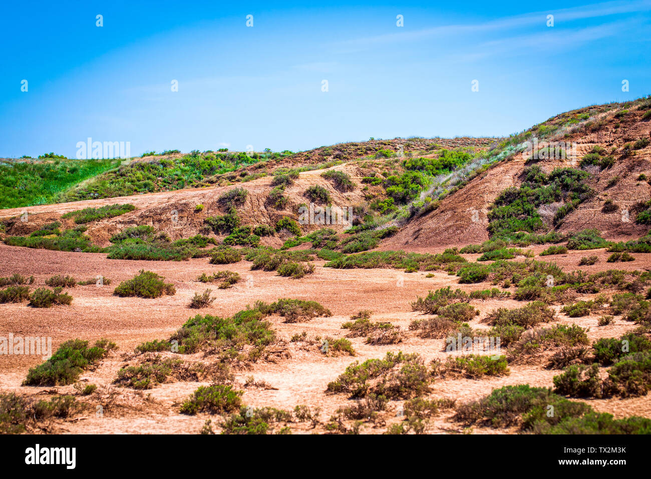 Vegetation brown arid semi arid desert landscape hi-res stock ...