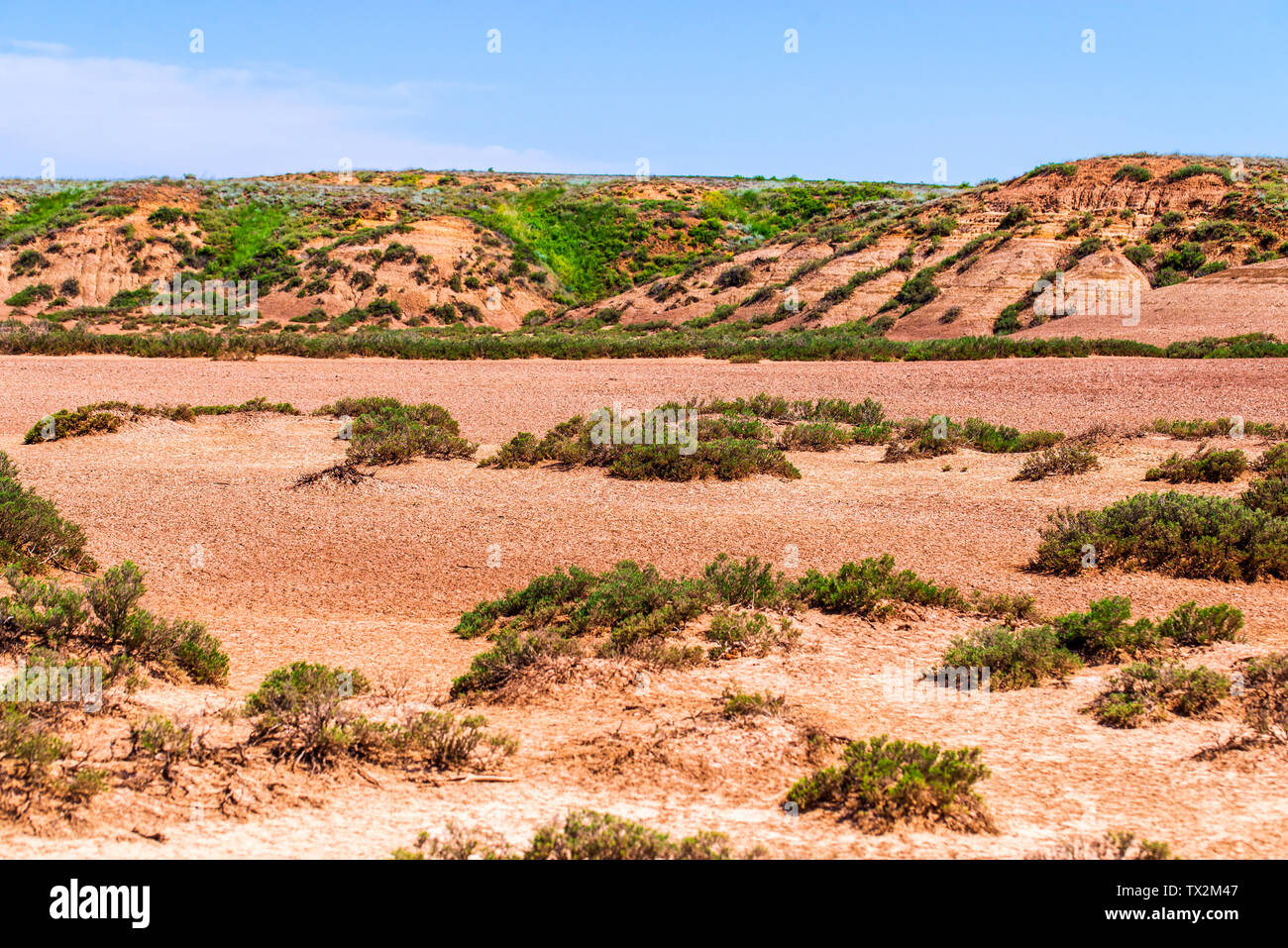 Landscape with dry cracked takir soil in semi-desert in Russia Stock ...