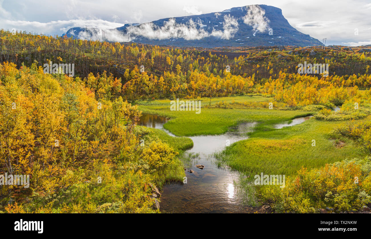 Autumn landscape with creek and mountain and colorful bich trees ...