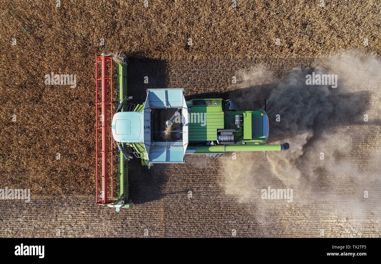 Treplin, Germany. 23rd June, 2019. A combine harvester harvests winter ...