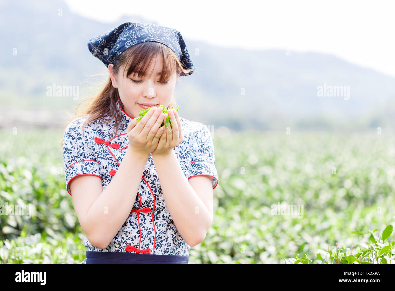 Asian pretty tea - amazing girl in photography Stock Photo - Alamy