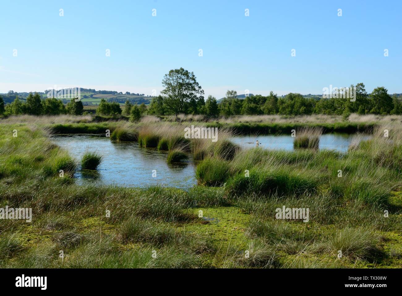 Bog people hi-res stock photography and images - Alamy
