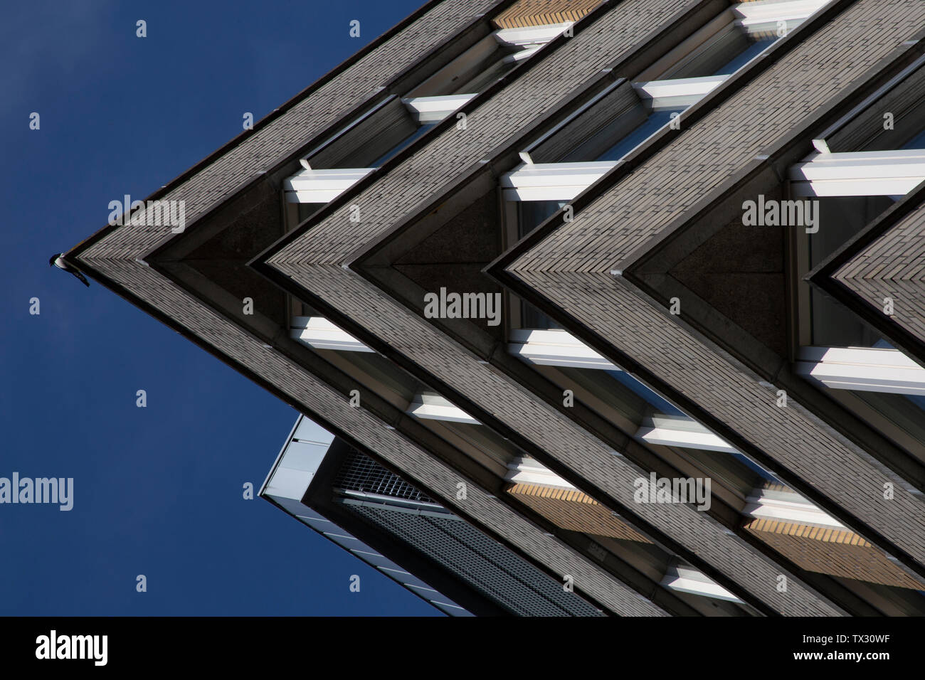 The triangular corner of an apartment block with a magpie sitting on ...