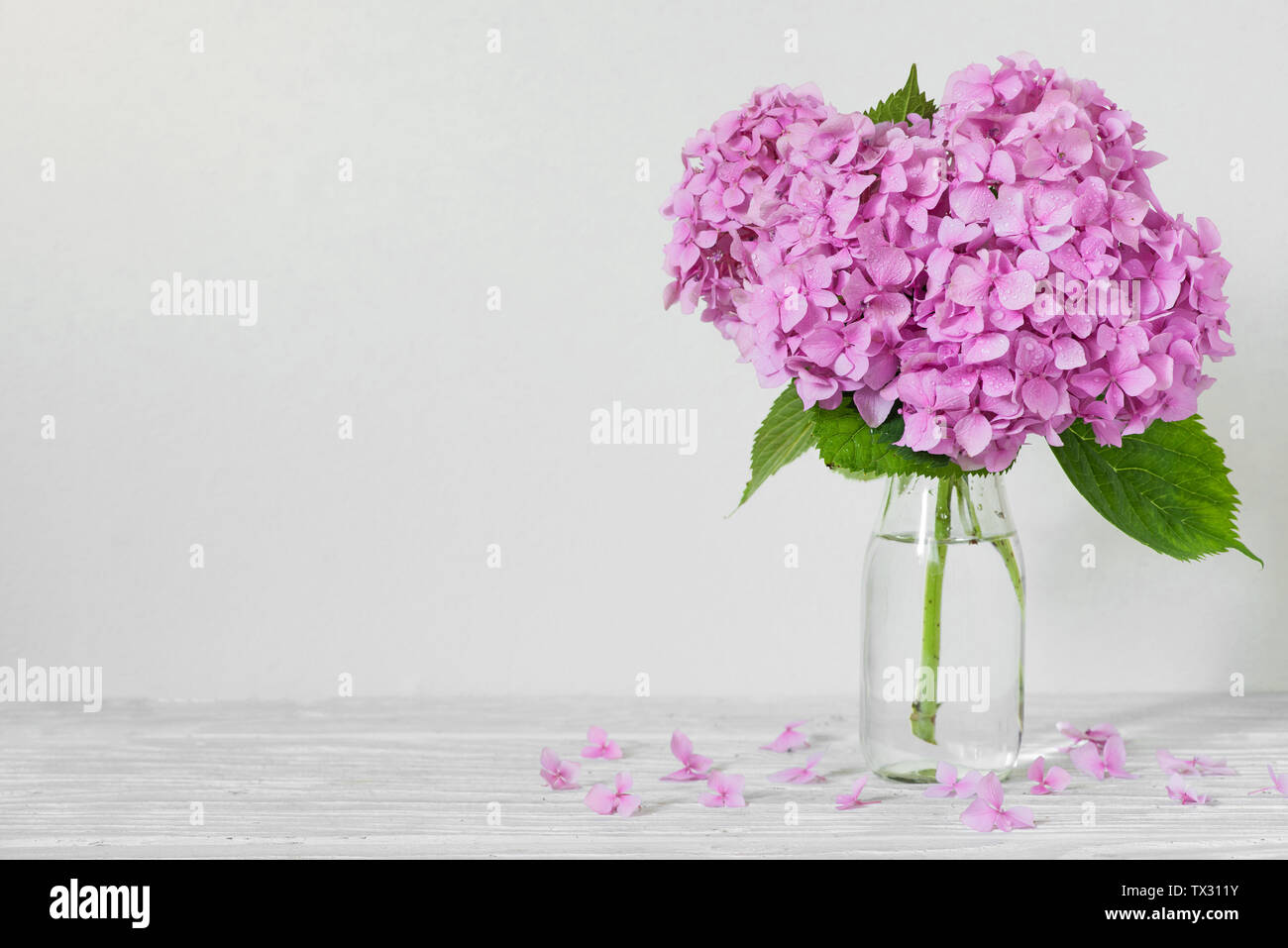 Still life with a beautiful pink hydrangea flowers on white wooden ...