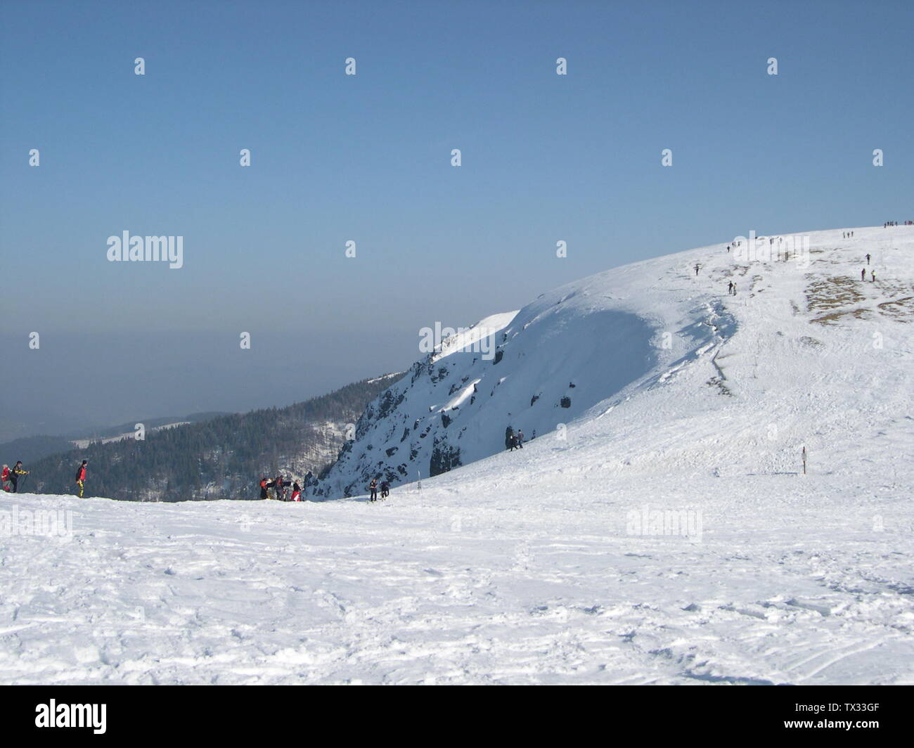 Flanc hi-res stock photography and images - Alamy