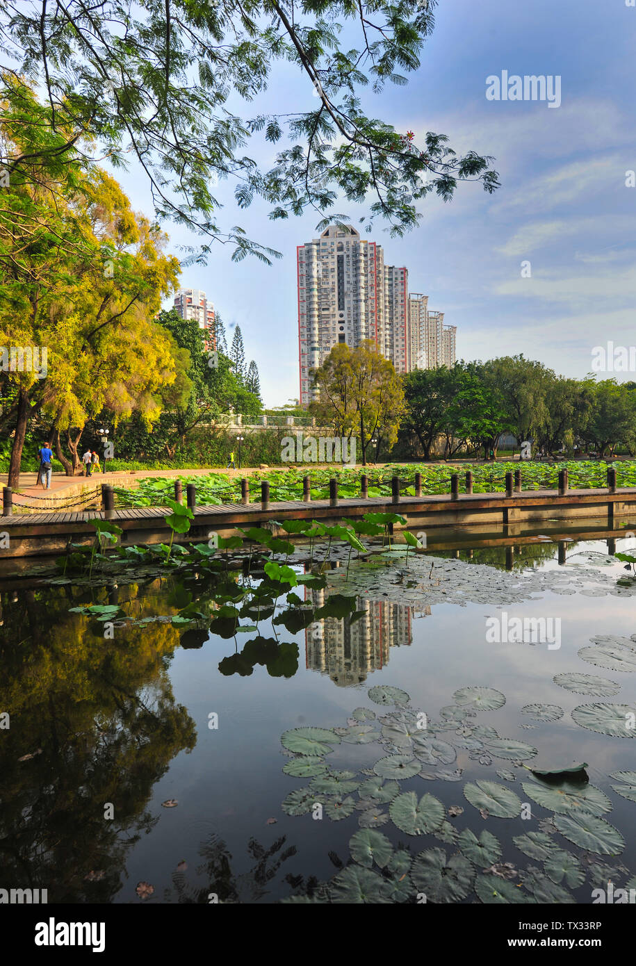 Honghu park hi-res stock photography and images - Alamy