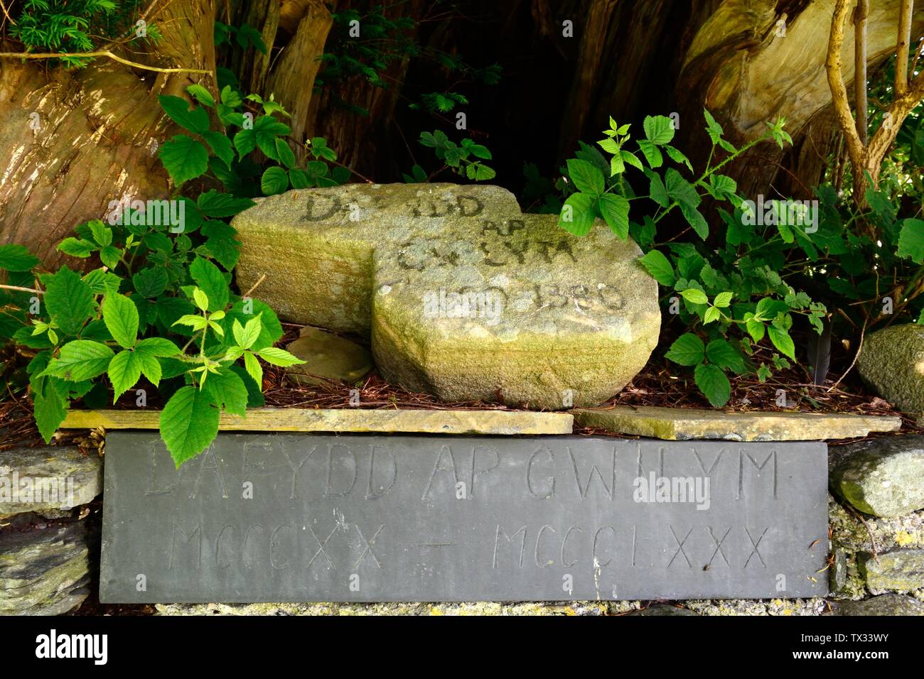 Plaque marking the grave of Dafydd ap Gwylim 14th century Welsh Poet in ...