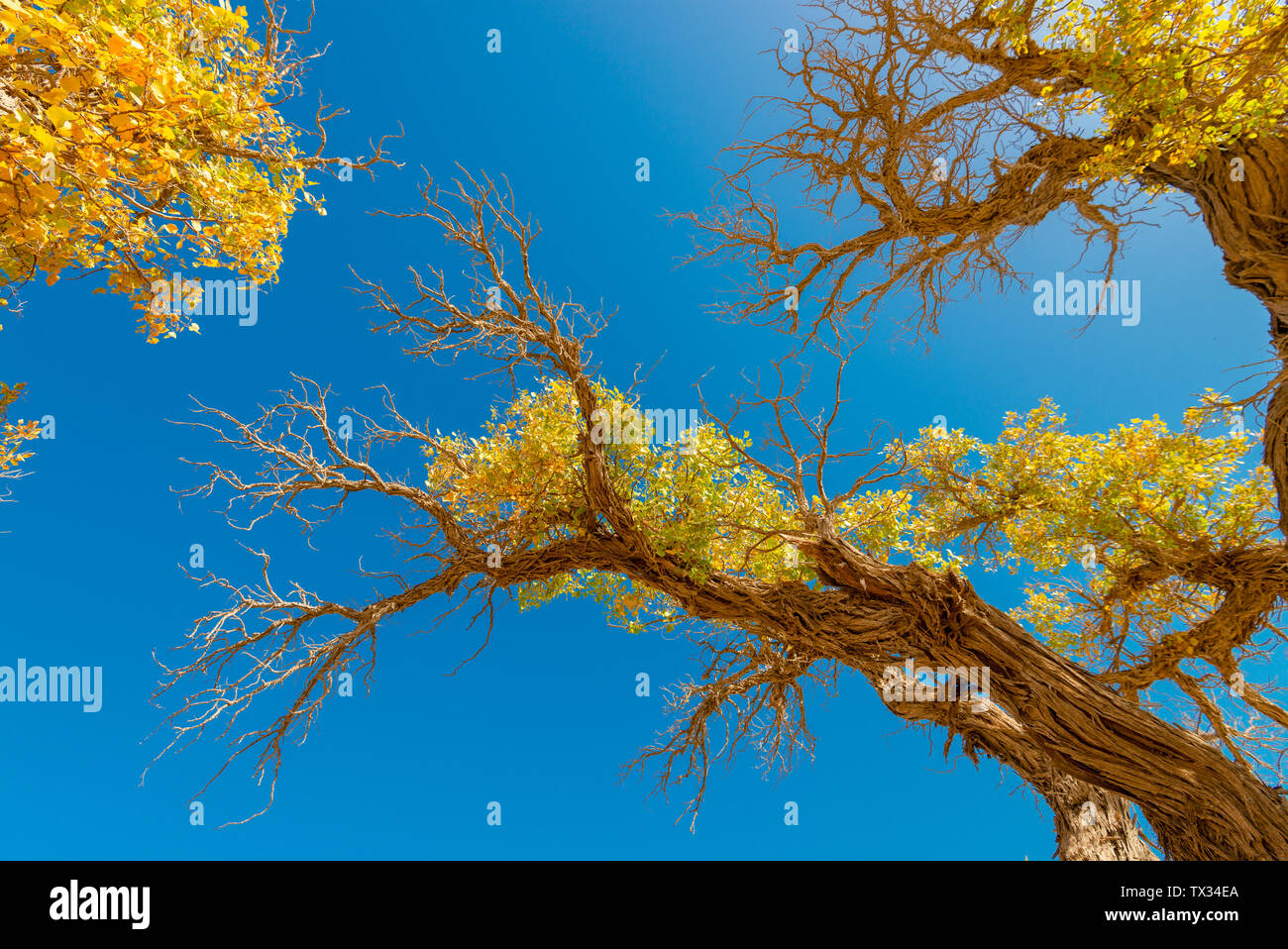 Hu backstage hi-res stock photography and images - Alamy