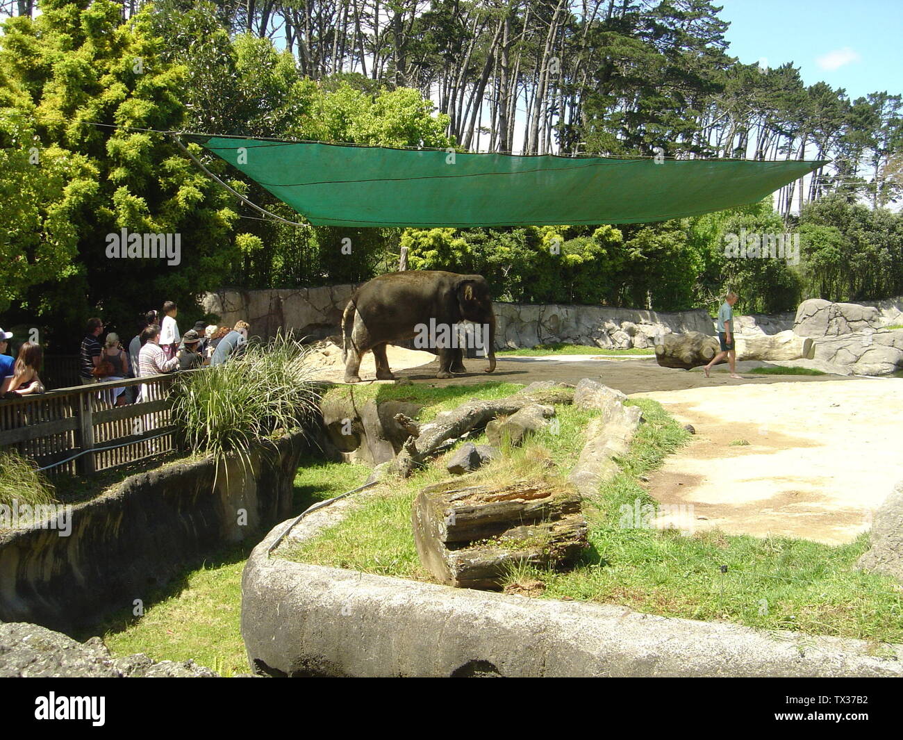 Bestiality or zoophilia hi-res stock photography and images - Alamy