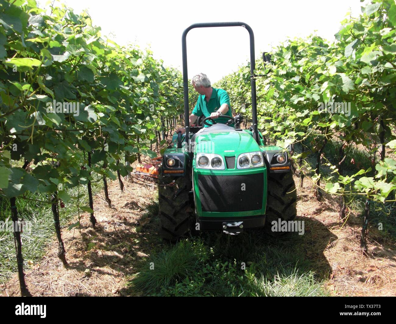 Trattore hi-res stock photography and images - Alamy