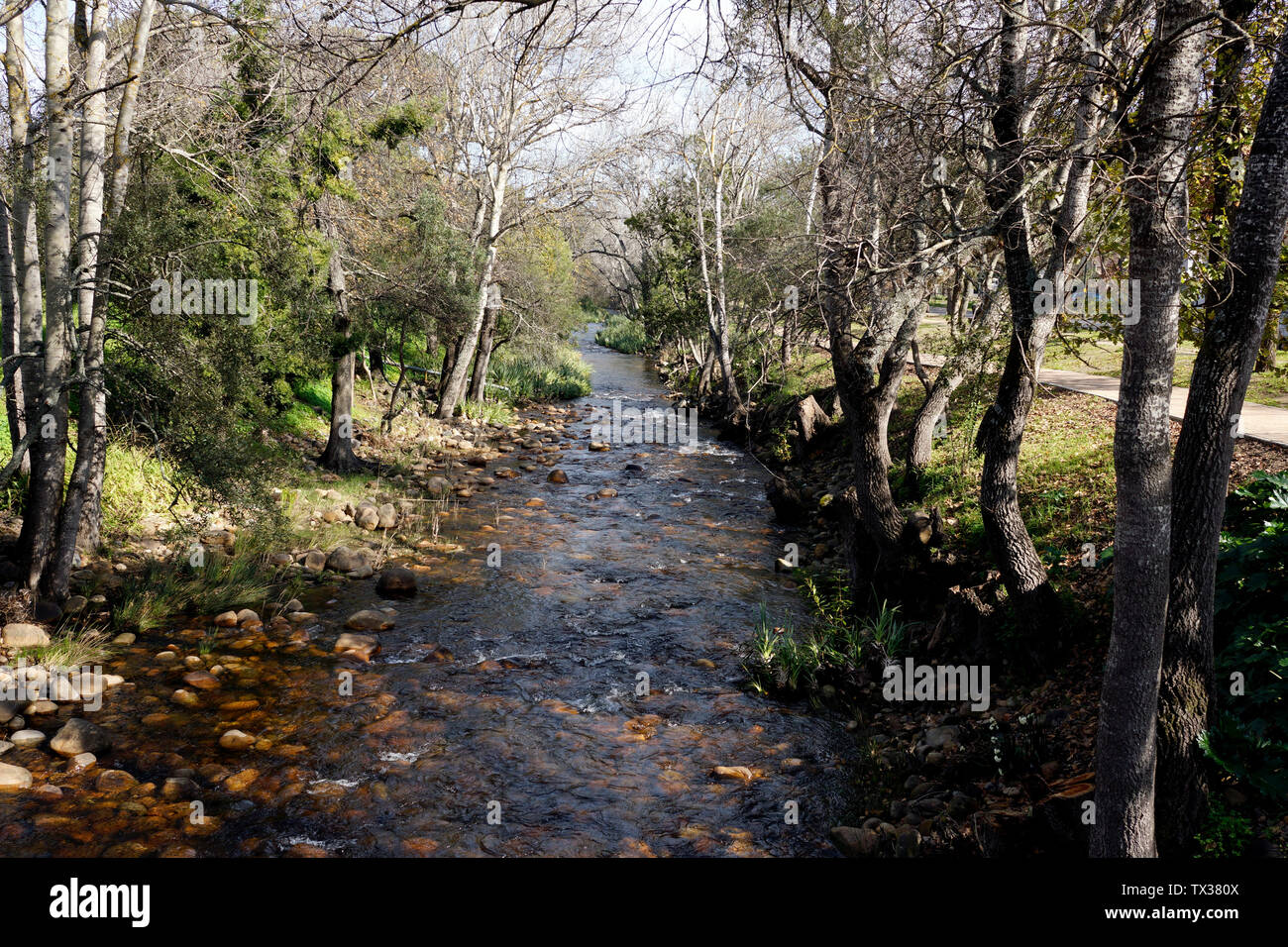 Eerste River , Stellenbosch, South Africa Stock Photo - Alamy
