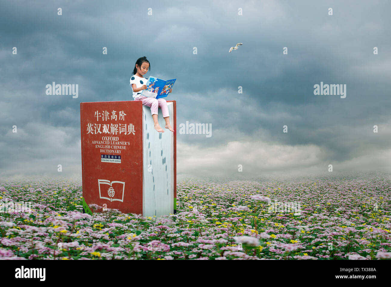 Creative photography hi-res stock photography and images - Alamy