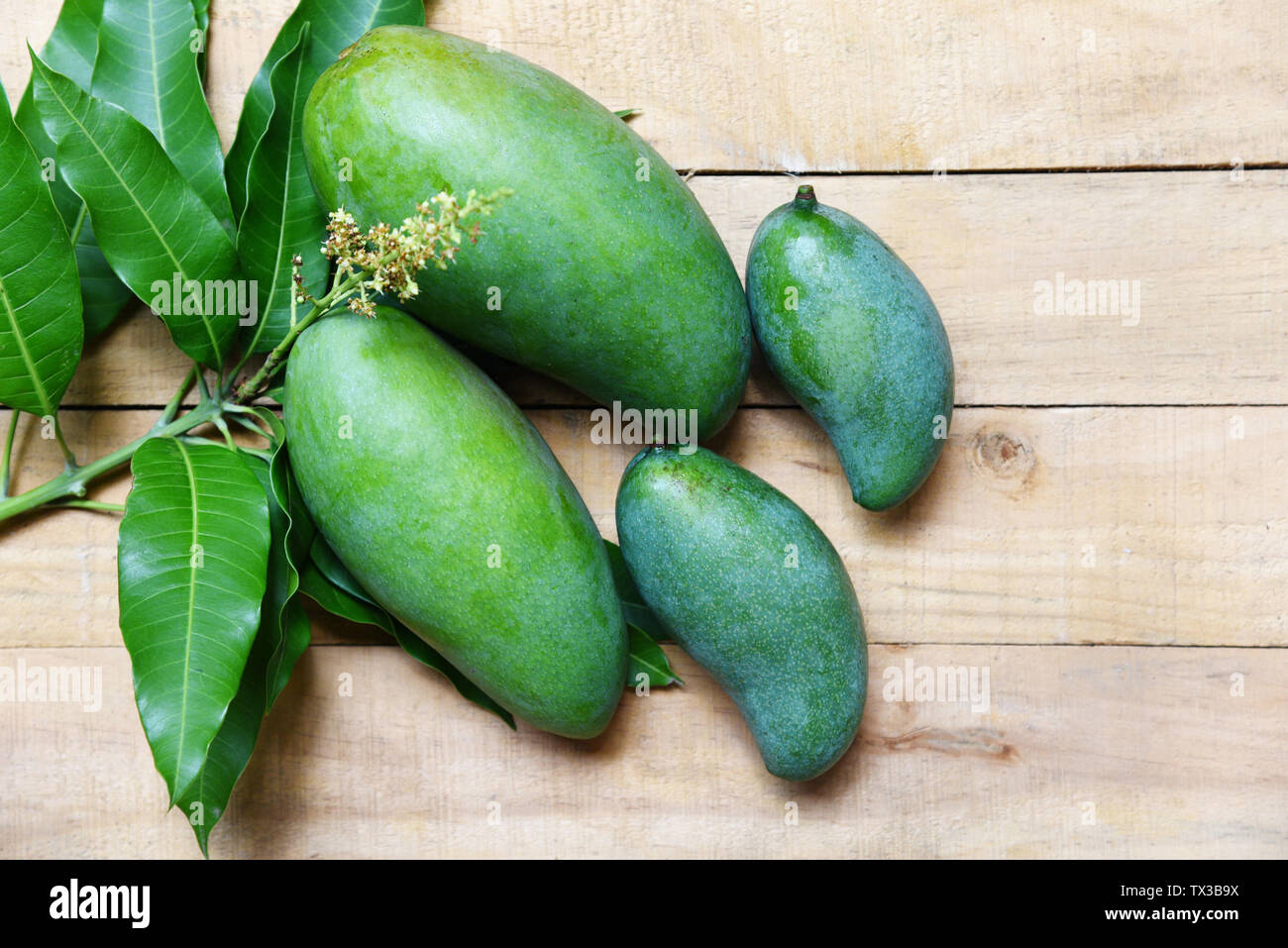 Fresh green mango and green leaves on wooden background - harvest mango ...