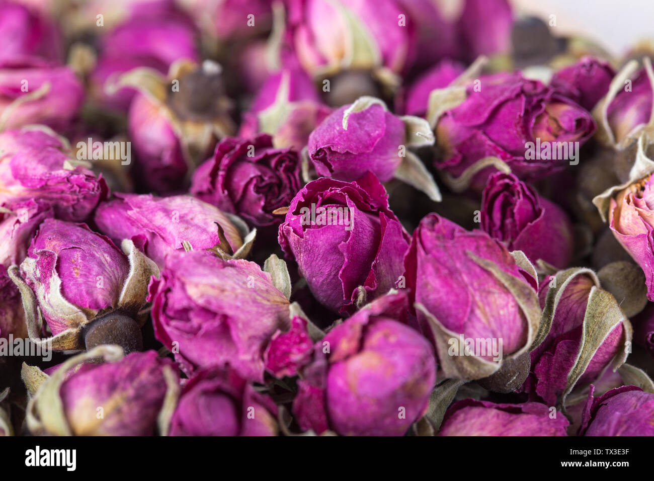 Vegetables features hi-res stock photography and images - Alamy