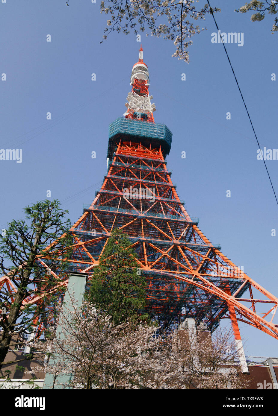Sky tower clear blue sky architecture hi-res stock photography and ...