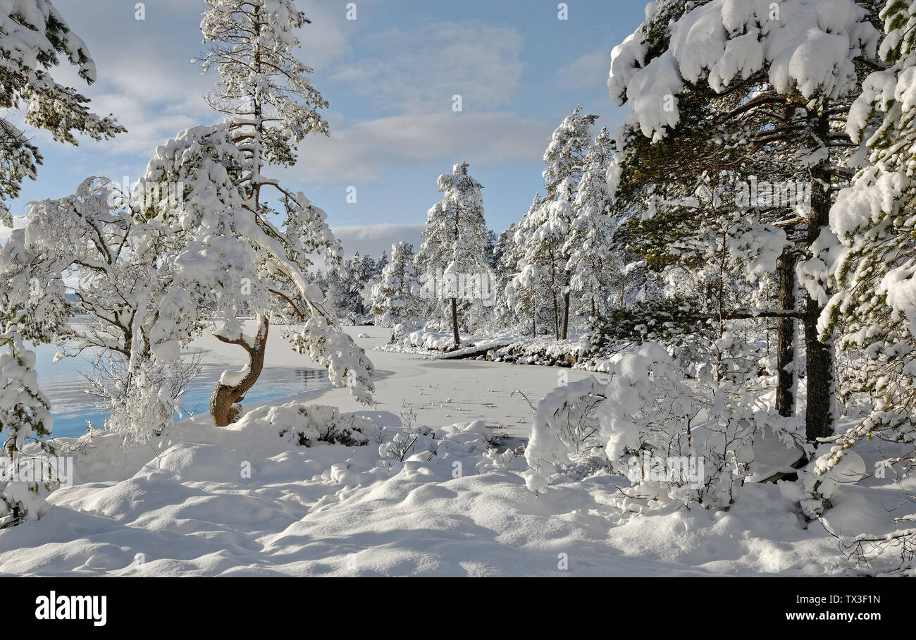 Engerdal hi-res stock photography and images - Alamy