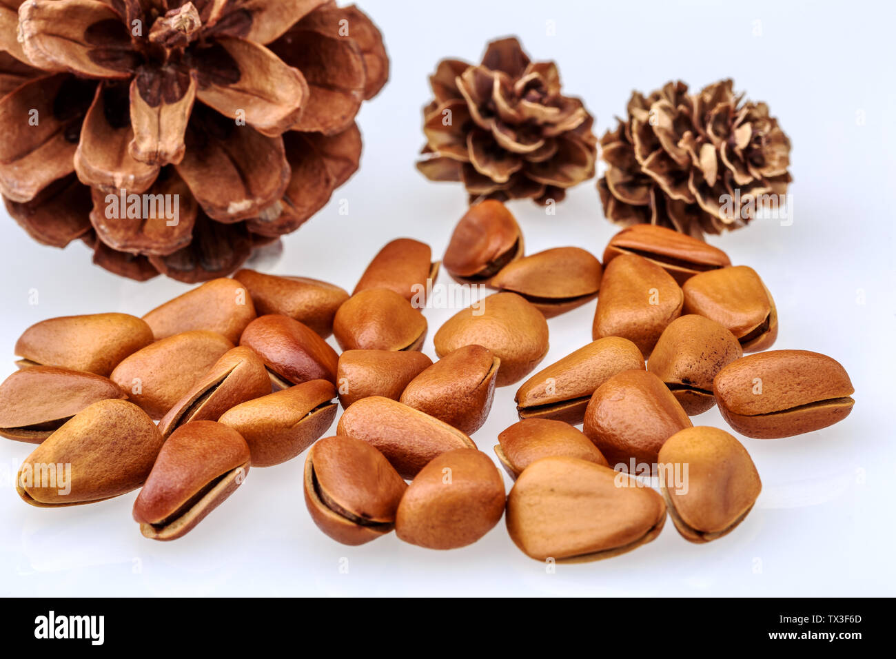 Open pine nuts Stock Photo - Alamy