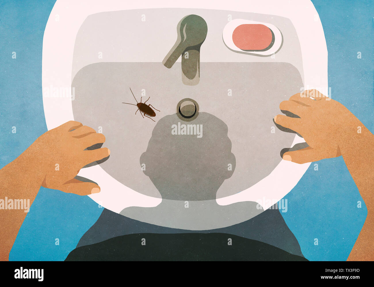 Standing cockroach hi-res stock photography and images - Alamy