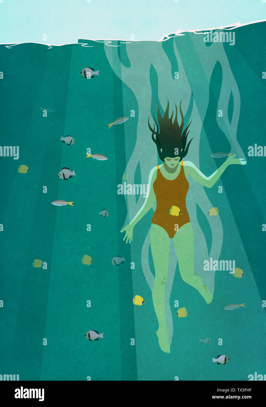 Woman diving into ocean surrounded by fish Stock Photo - Alamy