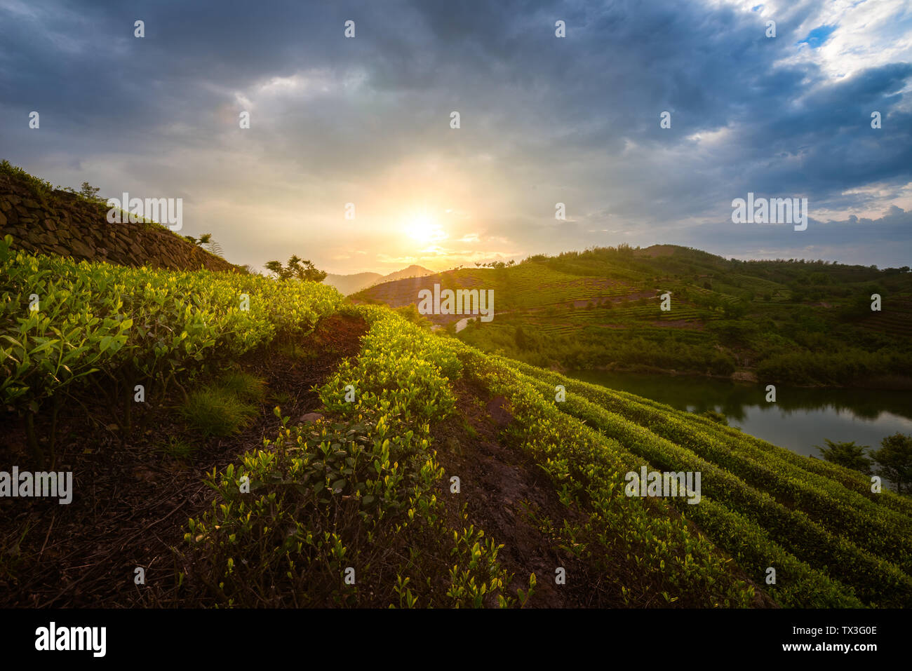 Fenghua ningbo hi-res stock photography and images - Alamy
