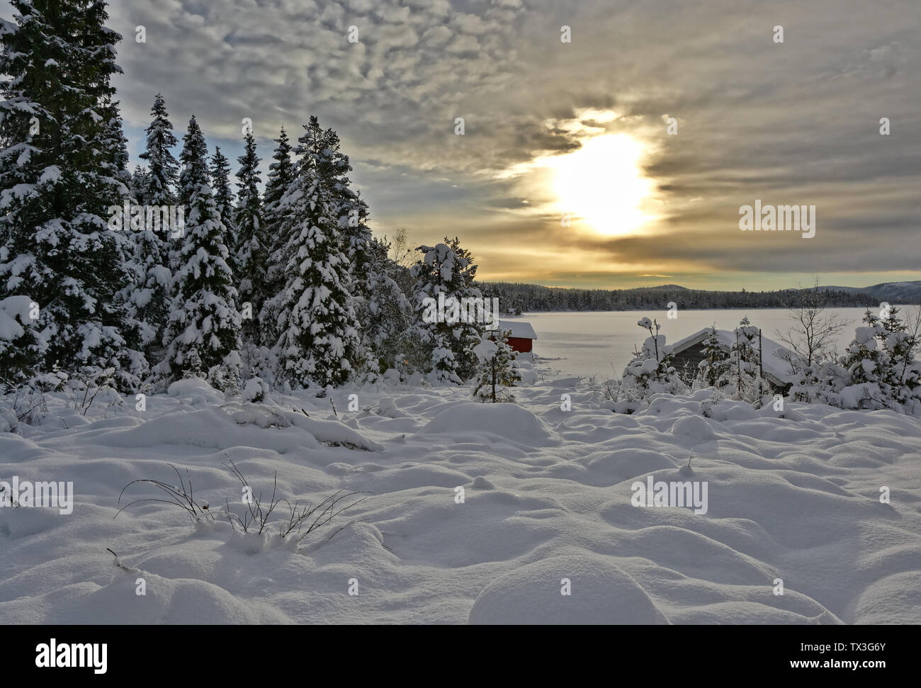 Norway. Hike through the beautiful Rendalen Stock Photo - Alamy