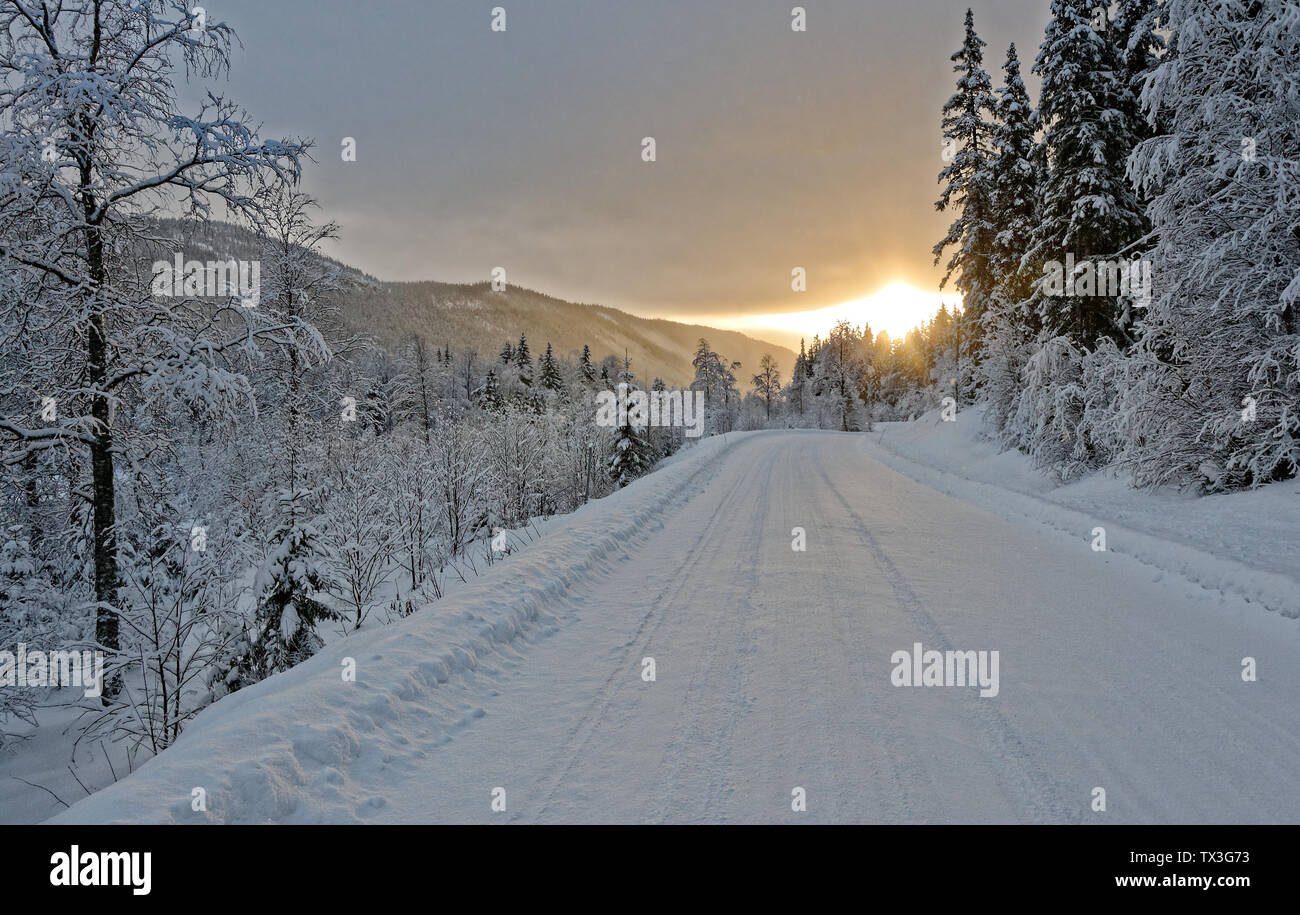 Rendalen hi-res stock photography and images - Alamy