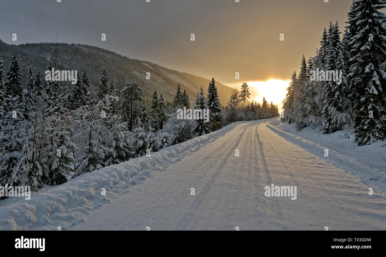 Rendalen High Resolution Stock Photography and Images - Alamy