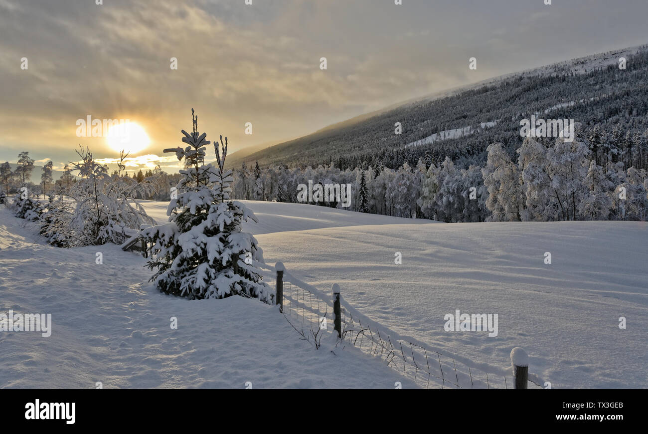 Norway. Hike through the beautiful Rendalen Stock Photo - Alamy