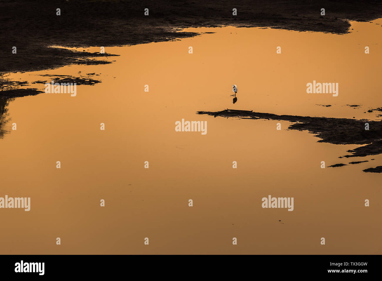 Sunrise in Pagan, Myanmar Stock Photo - Alamy