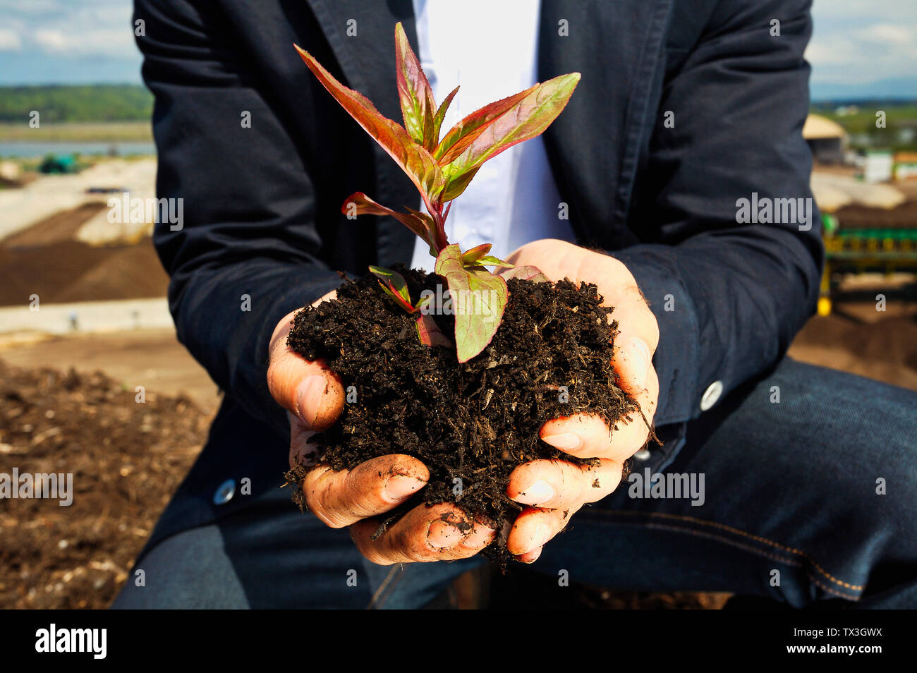 Close up man cupping plant sapling in dirt Stock Photo - Alamy