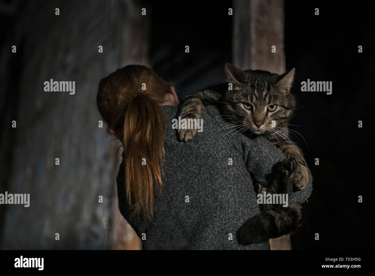 Girl holding cat over shoulder Stock Photo - Alamy