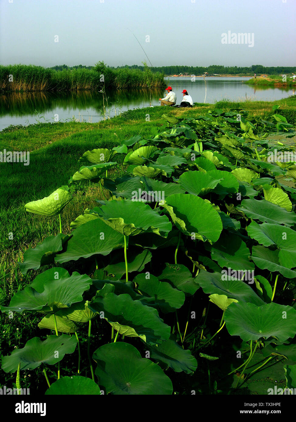Blue Lake Park has a beautiful ecological environment and pleasant ...