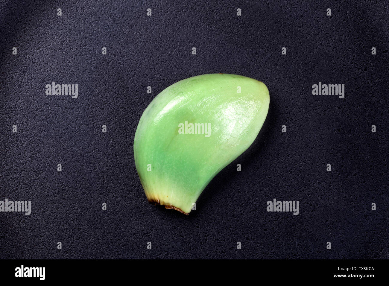 Garlic valves hi-res stock photography and images - Alamy