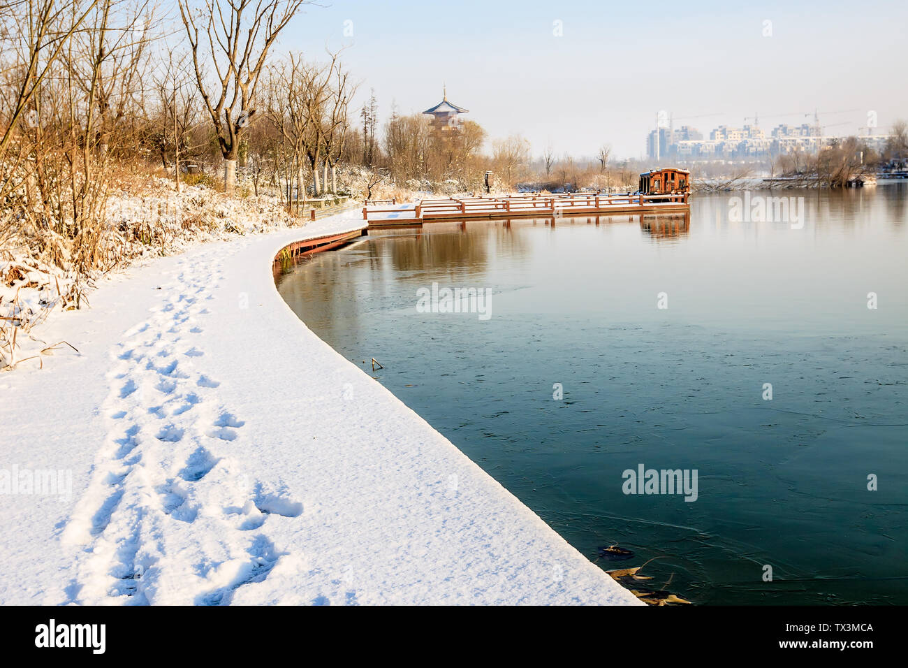Snow view of wetland Stock Photo - Alamy