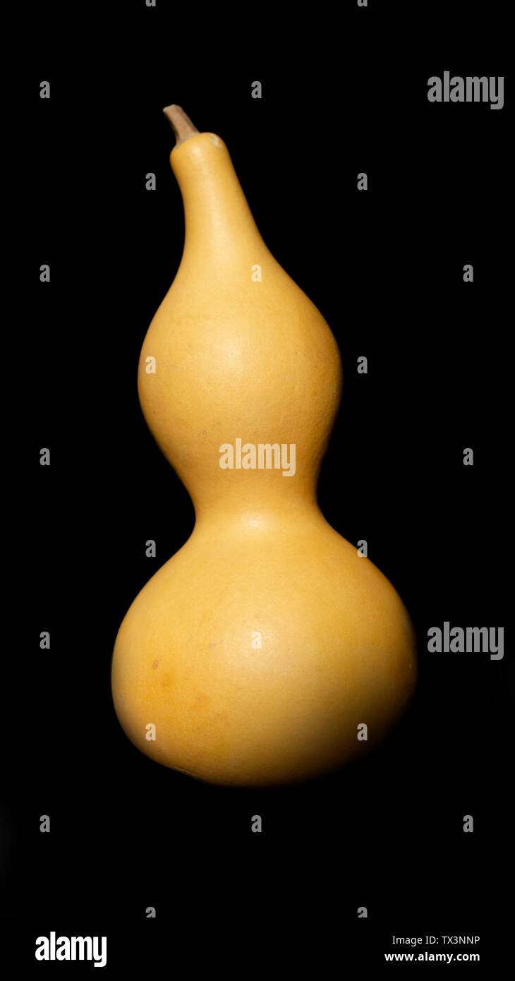 A gourd still life photography Stock Photo - Alamy