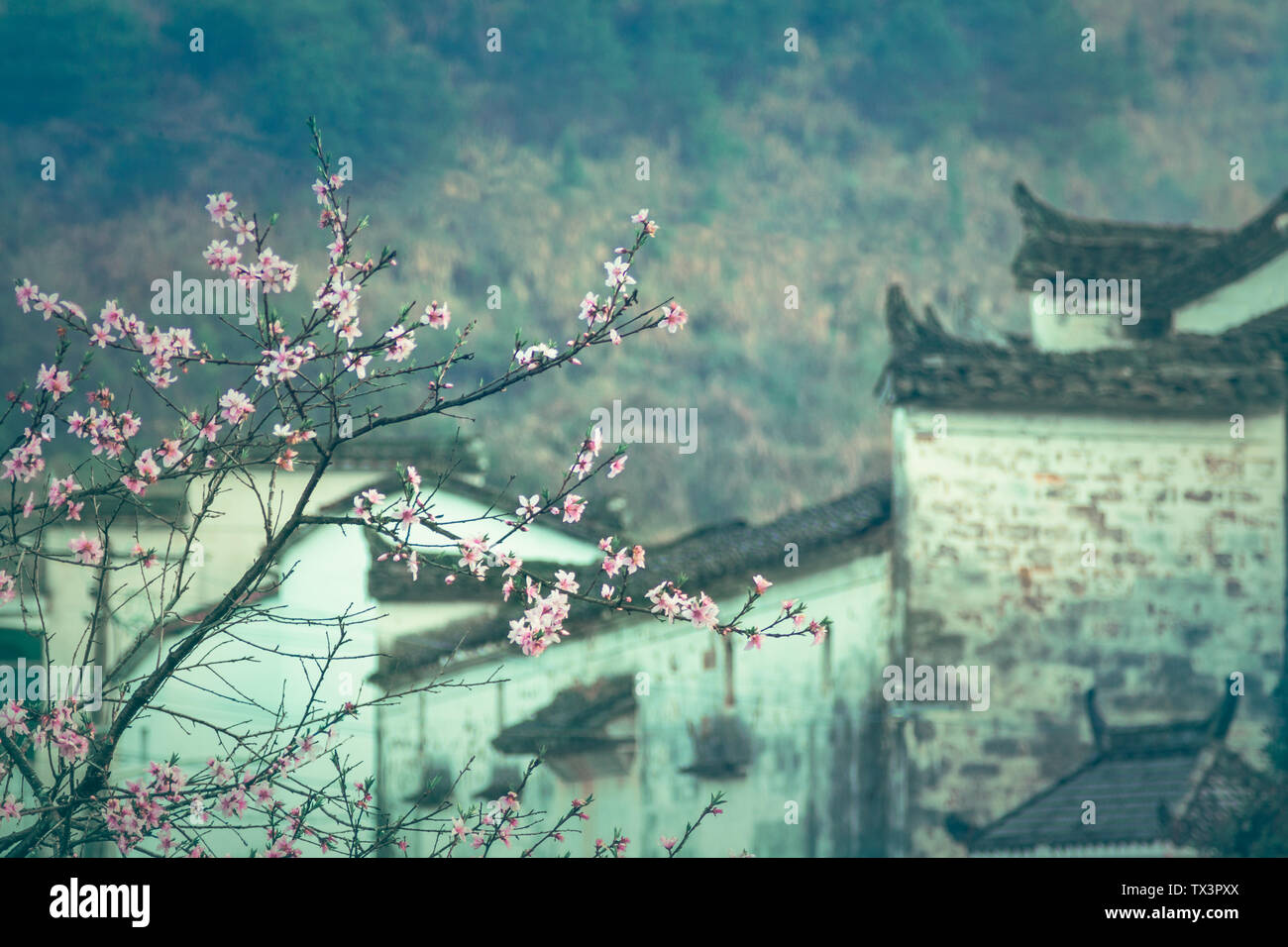 Damei scenery map Stock Photo - Alamy